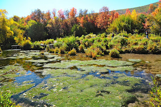 Hiking Utah: Alpine Loop and Cascade Springs Interpretive Trail