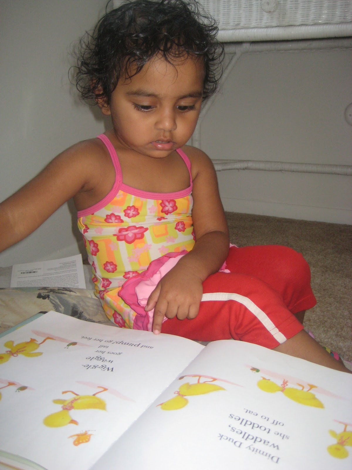 Life with Liya and Zain: Book of the Week :: Dimity Duck