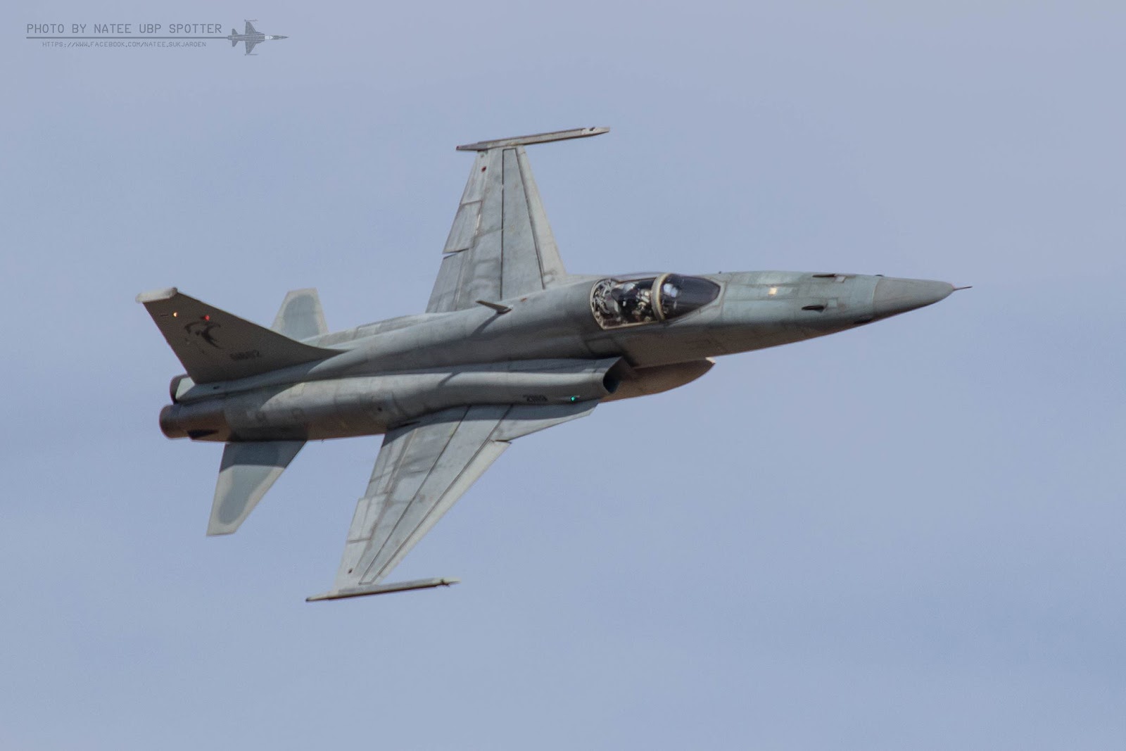 THAIDEFENSE-NEWS: ภาพถ่ายสวยๆ ของ F-5T Tigris