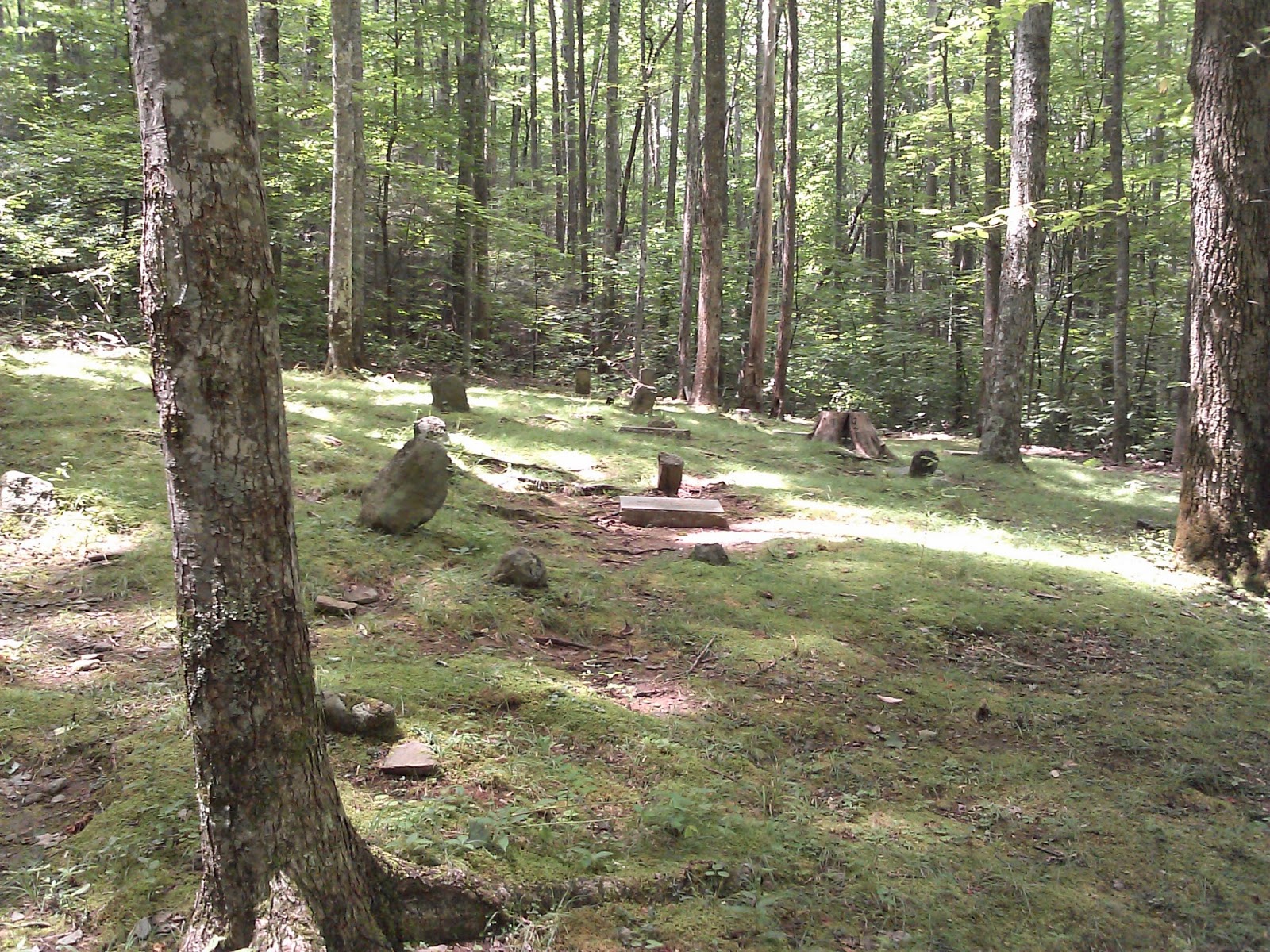 Hikes: Low Gap - AT - Snake Den Ridge