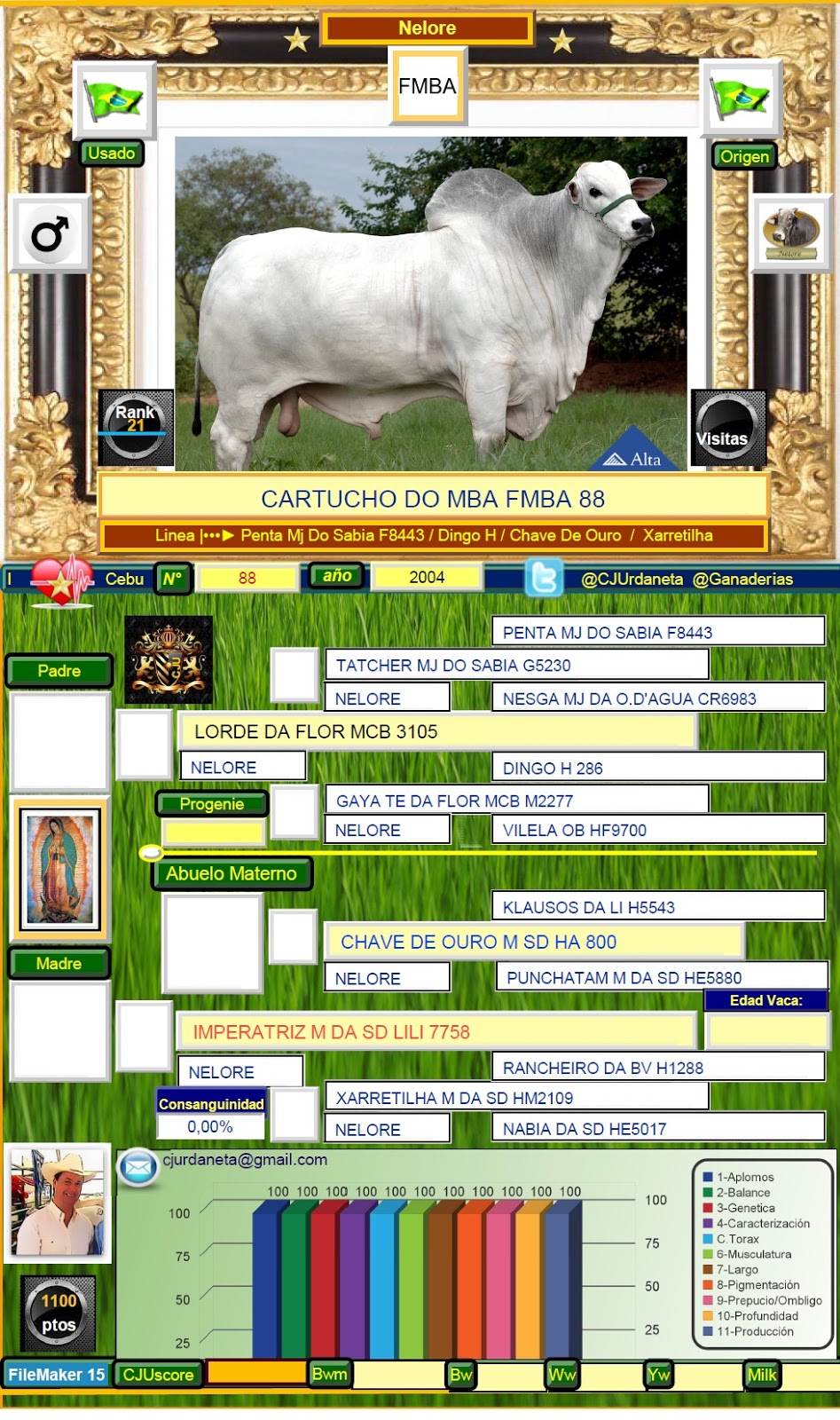 CEBÚ ♥ ♥ ♥ ZEBÚ♔♕♖♗♘ LA PASIÓN POR EL #CEBÚ #ZEBU: CARTUCHO DO MBA FMBA ...