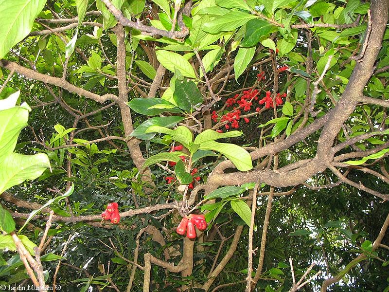 Sangrando en verde: abril 2015