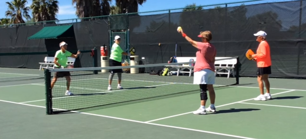 A Pickleball Life: The Dink Game