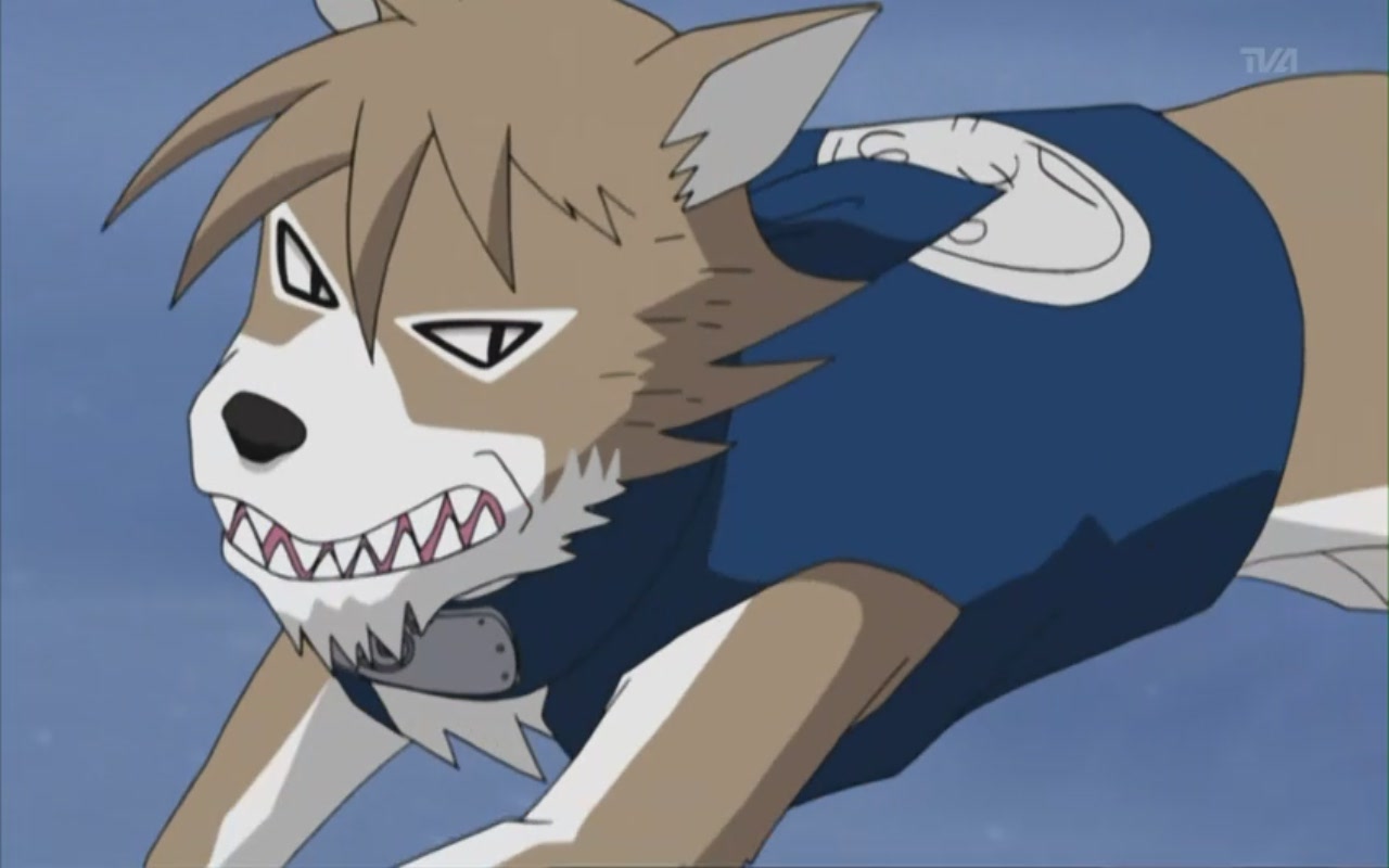 Universo Animangá: Lista de Invocações de Naruto