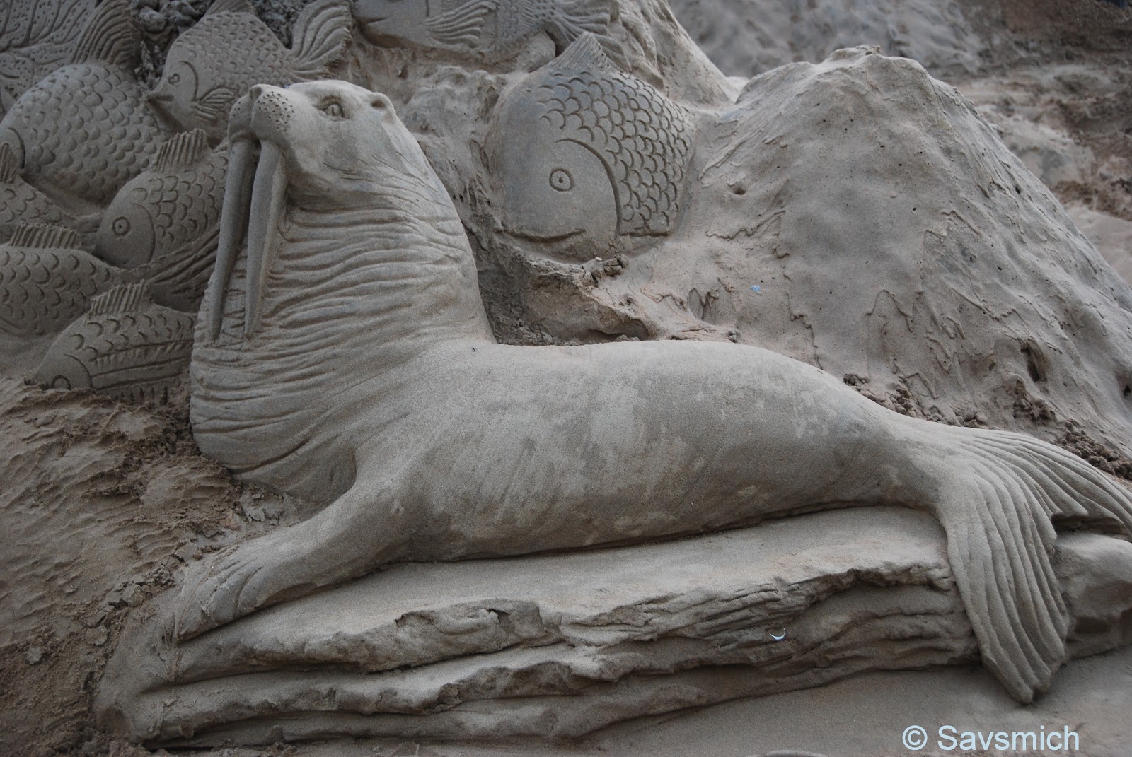 Savio & Michelle's Travel Diary .. A new destination in every page ...