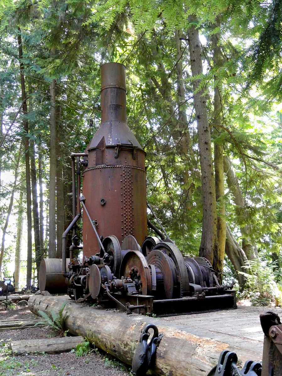 Wanderin' Weeta (With Waterfowl and Weeds): Of boom boats and donkey ...