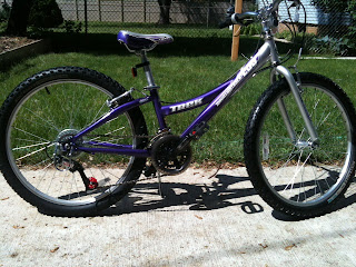 John's Bicycle Restorations: Restorations by Photo