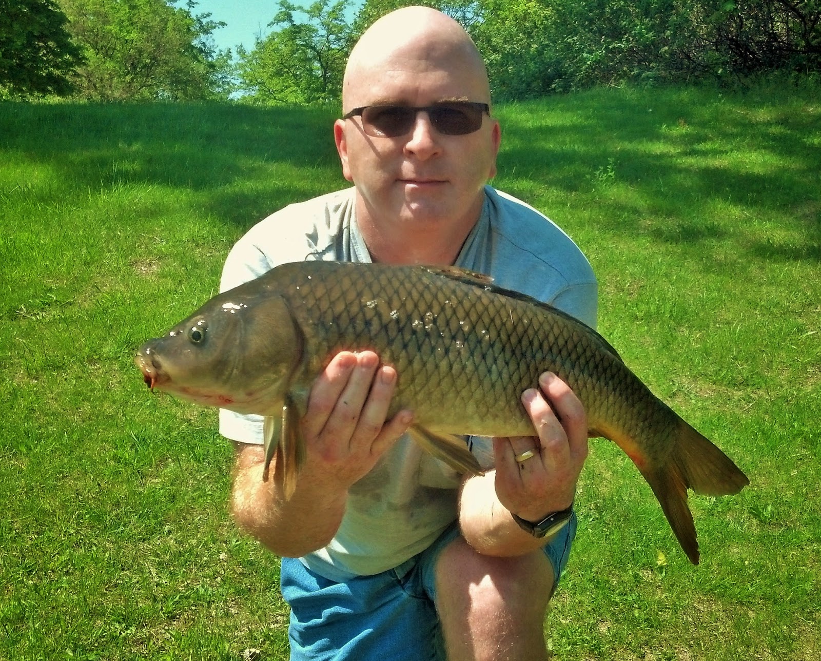 Michigan Carp Fishing Blog: Morning Carp Session