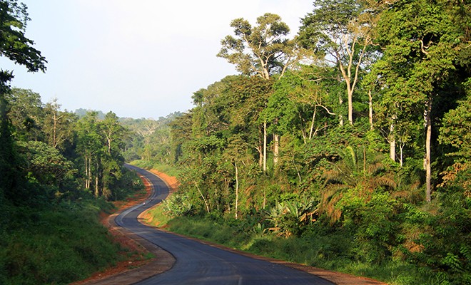 El Cubano: Un Fonds bleu pour protéger la forêt du Bassin du Congo