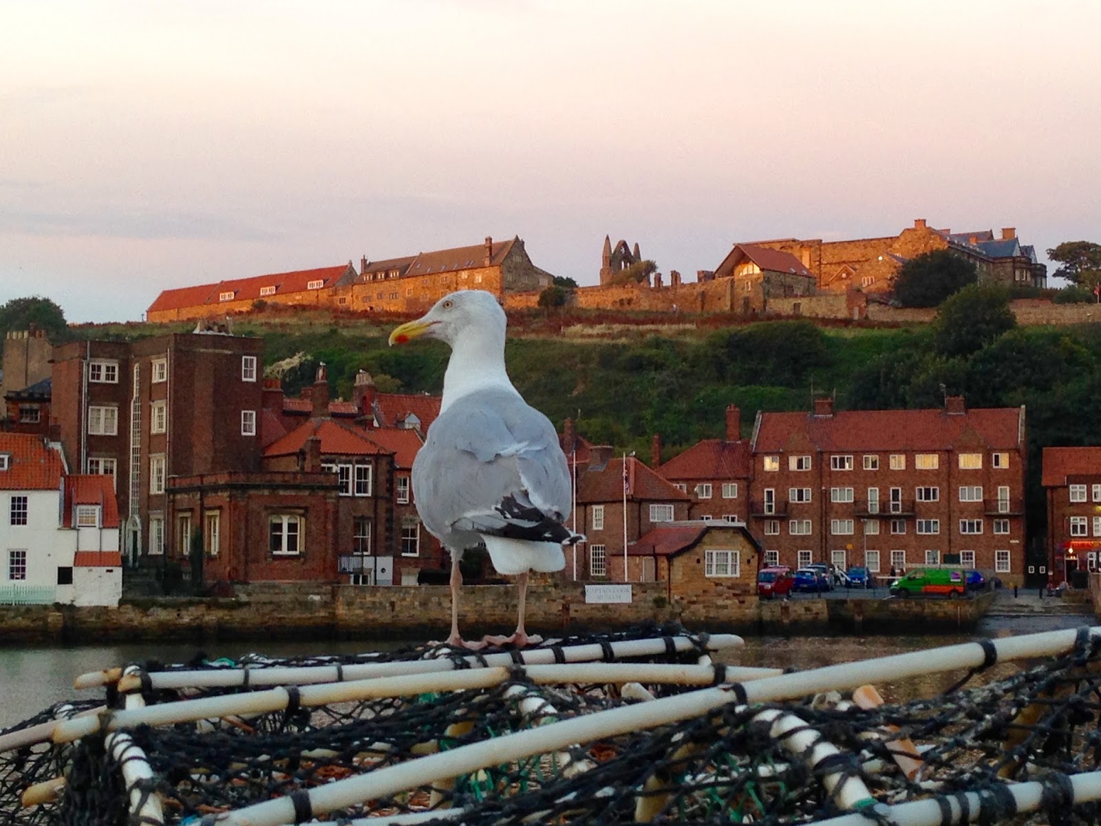 Life with our Lads: England Part 6: Goathland, Whitby & Scarborough