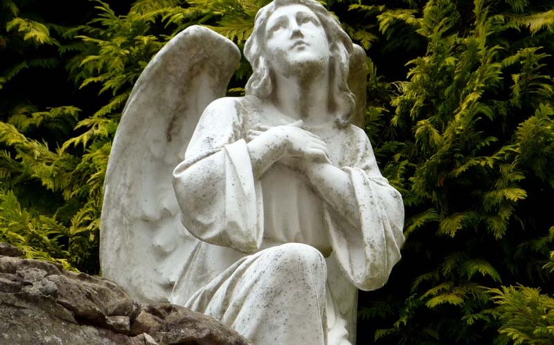 Calling Angels' Help — A Journey of Faith, Hope, and Love Through Our ...