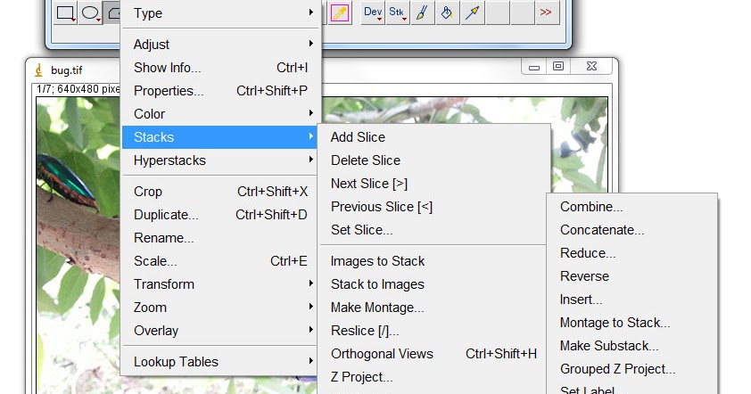 My imageJ: เมนู Image with ImageJ [ตอนที่ 44] Stacks tools, หยุดการเล่นภาพเคลื่อนไหวด้วย Stop ...