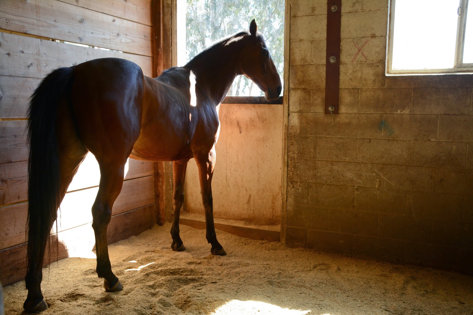 Westwind Barn - Los Altos Hills, CA