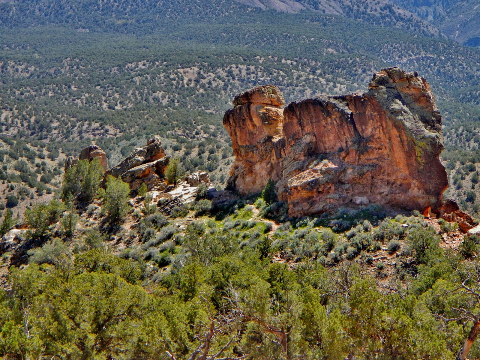The Southwest Through Wide Brown Eyes: Sand Canyon Trailhead - Canyon ...
