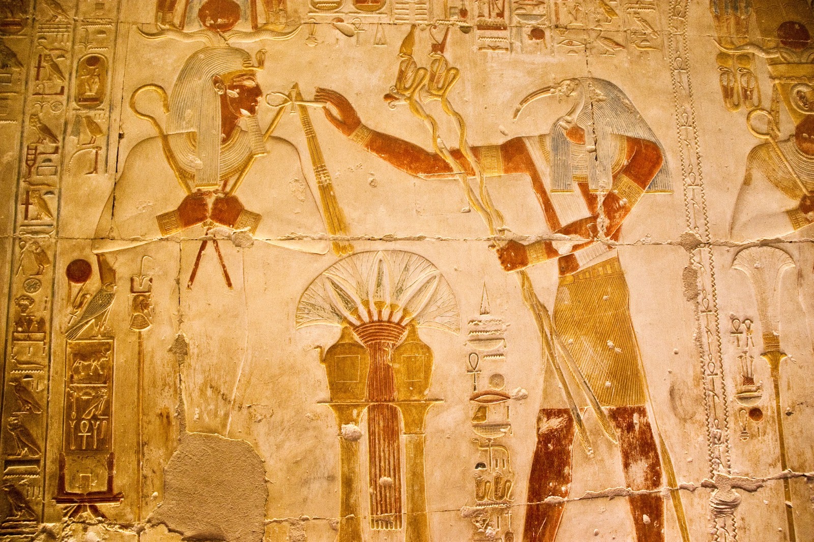 coming forth by day: altered snakes of consciousness