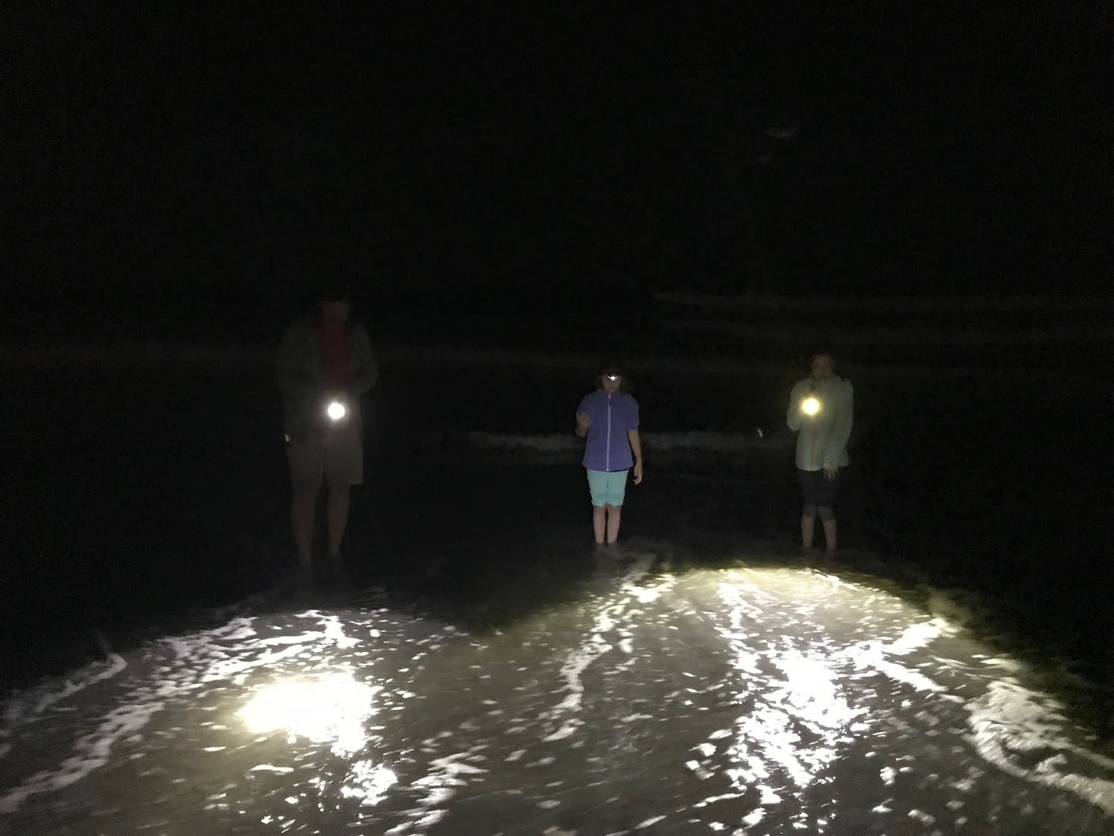Here and There: Oceanside Grunion Run