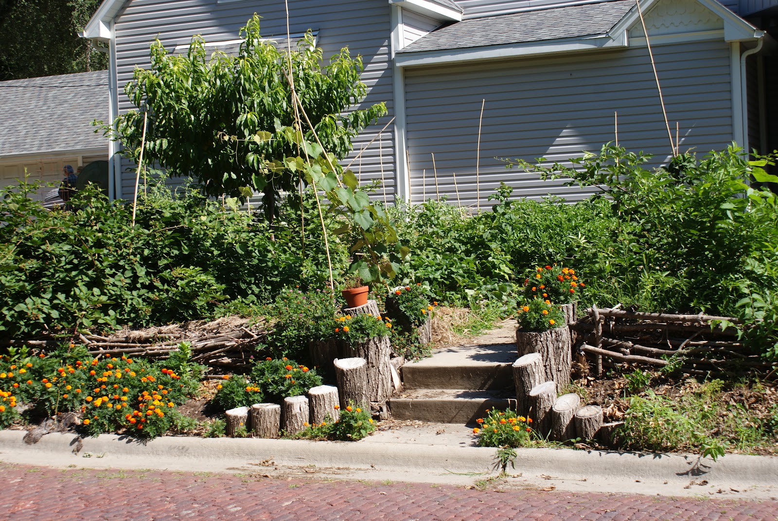 The Barefoot Gardener: Food Garden Tour