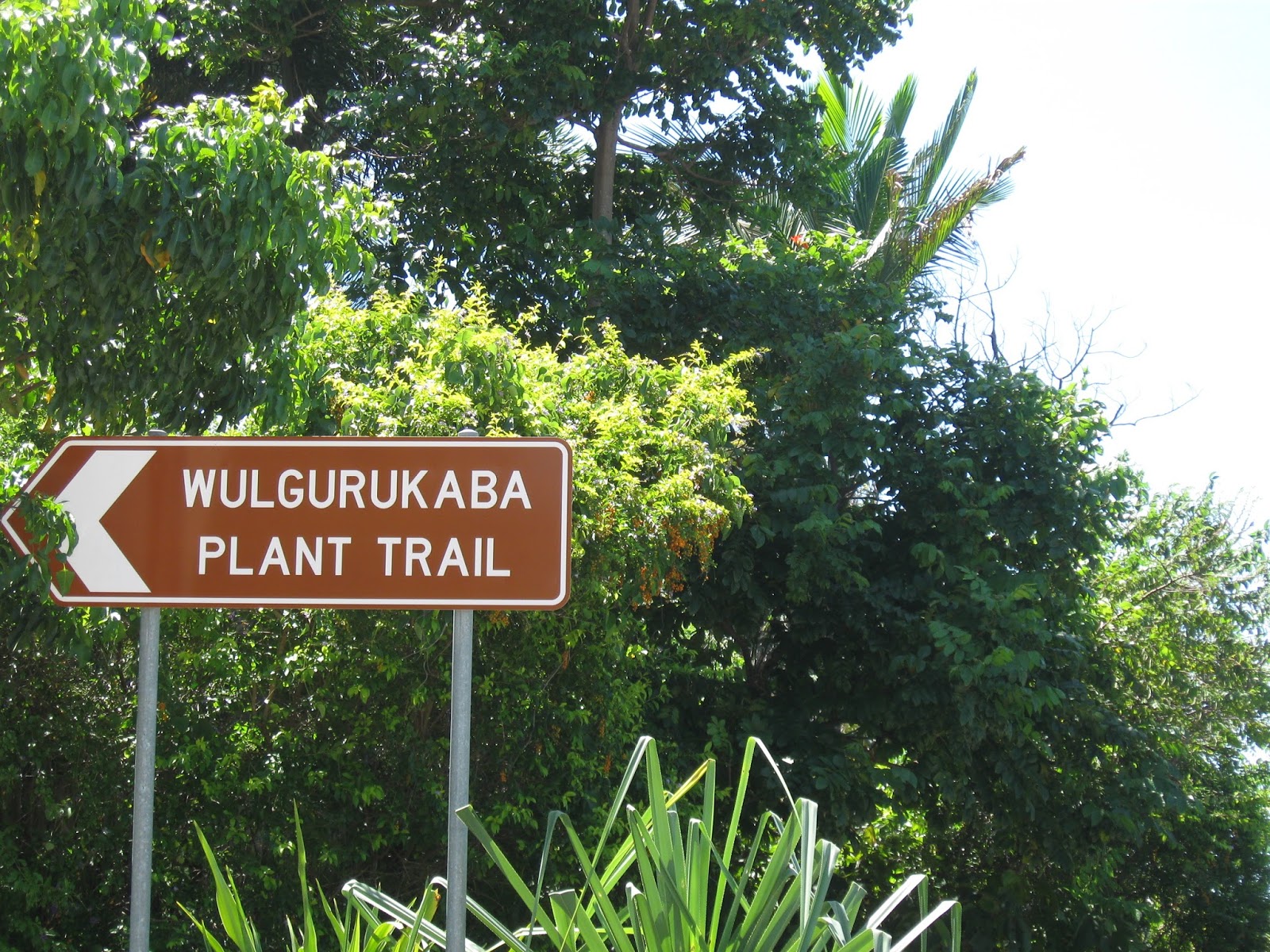 Free as A Bird: Wulgurukaba Plant Trail