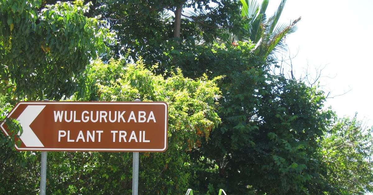 Free as A Bird: Wulgurukaba Plant Trail