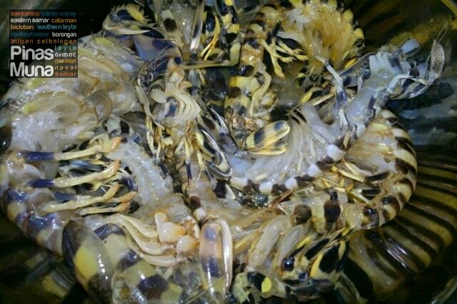 Kamuntaha a Local Delicacy in Biri, Northern Samar