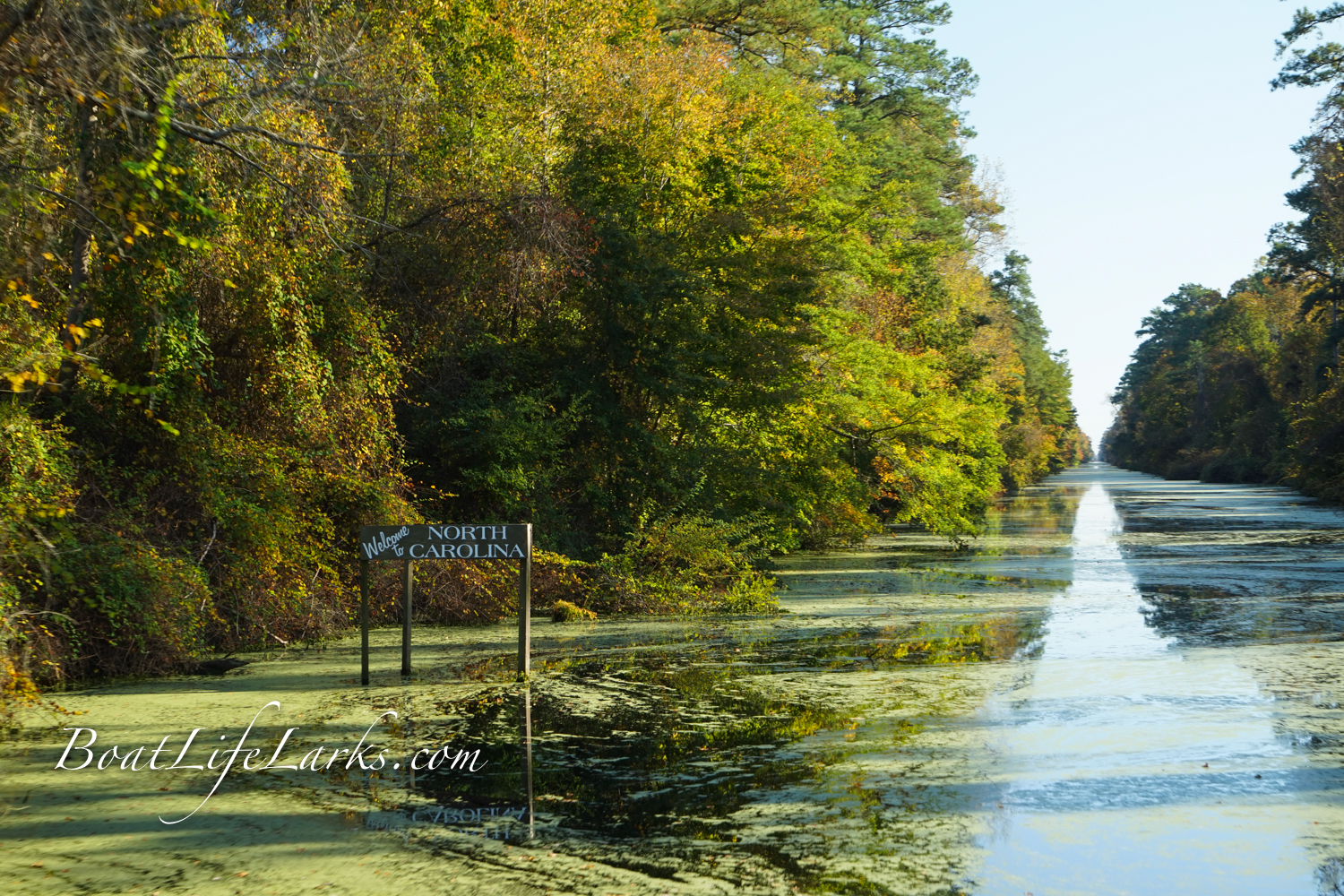 Dismal Swamp Canal Reopened: Photos and Video - Boat Life Larks - SV ...
