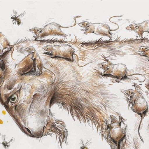 STORYWRAPS: Mr. Squirrel and the Moon - a book review