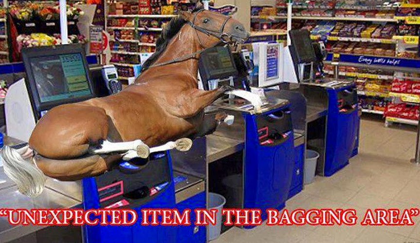 Rules, Fools and Wise Men: "Unexpected Item In Bagging Area"