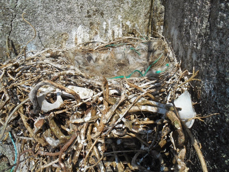 Dermot Breen's Blog: April 2014