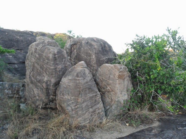Uncommon Paths: Thonigala Rock Inscriptions