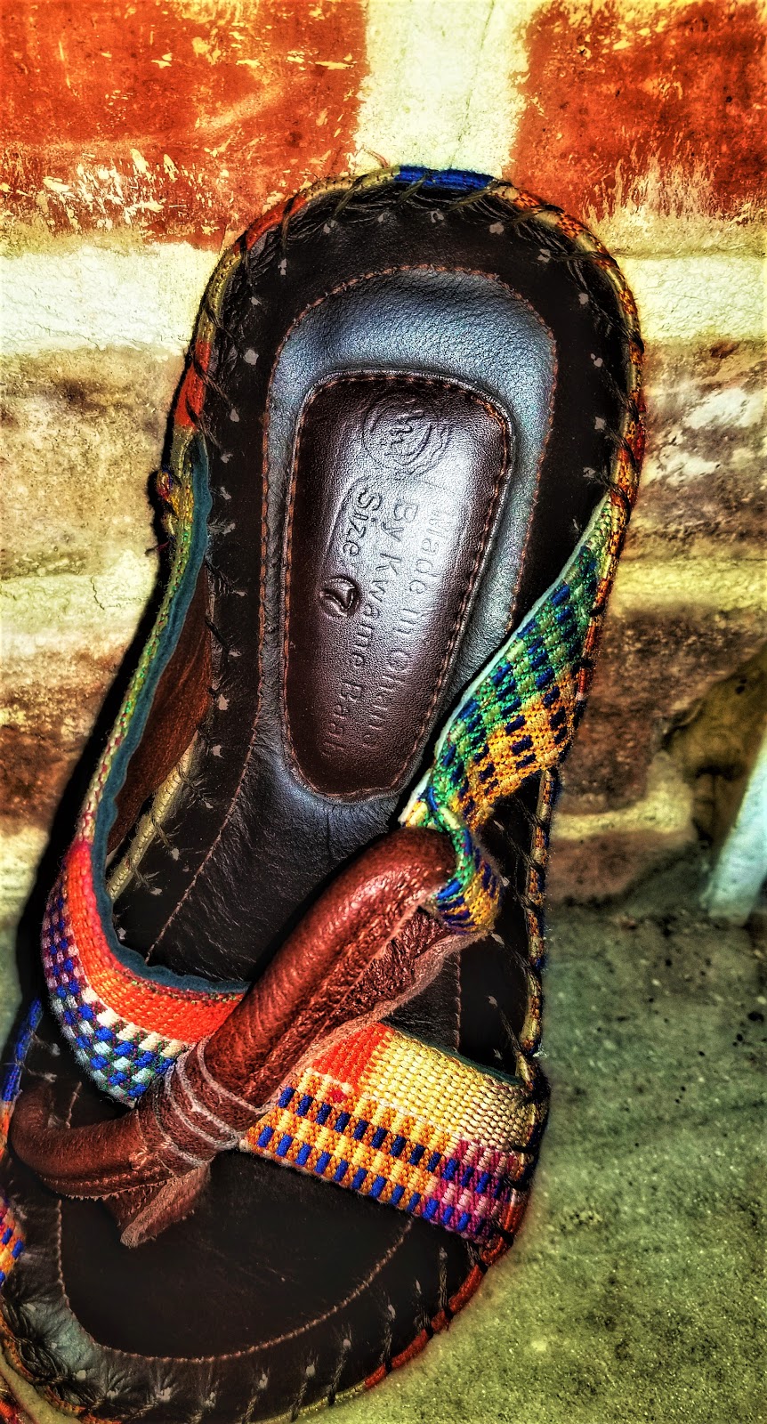 Stephanie Stebbins, Author