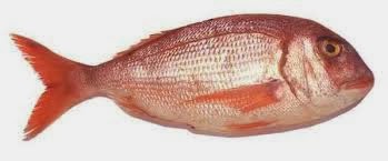 lacocinasanadeaitziber: BESUGO AL HORNO ESTILO ORIO