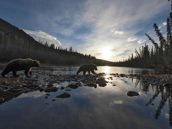 Un río sano es vital para el ecosistema