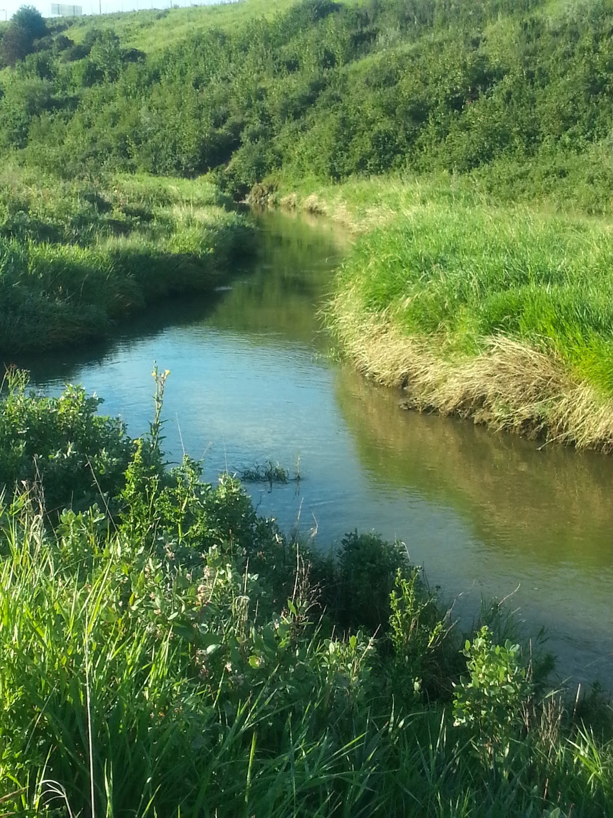 Walking Calgary: Confluence Park