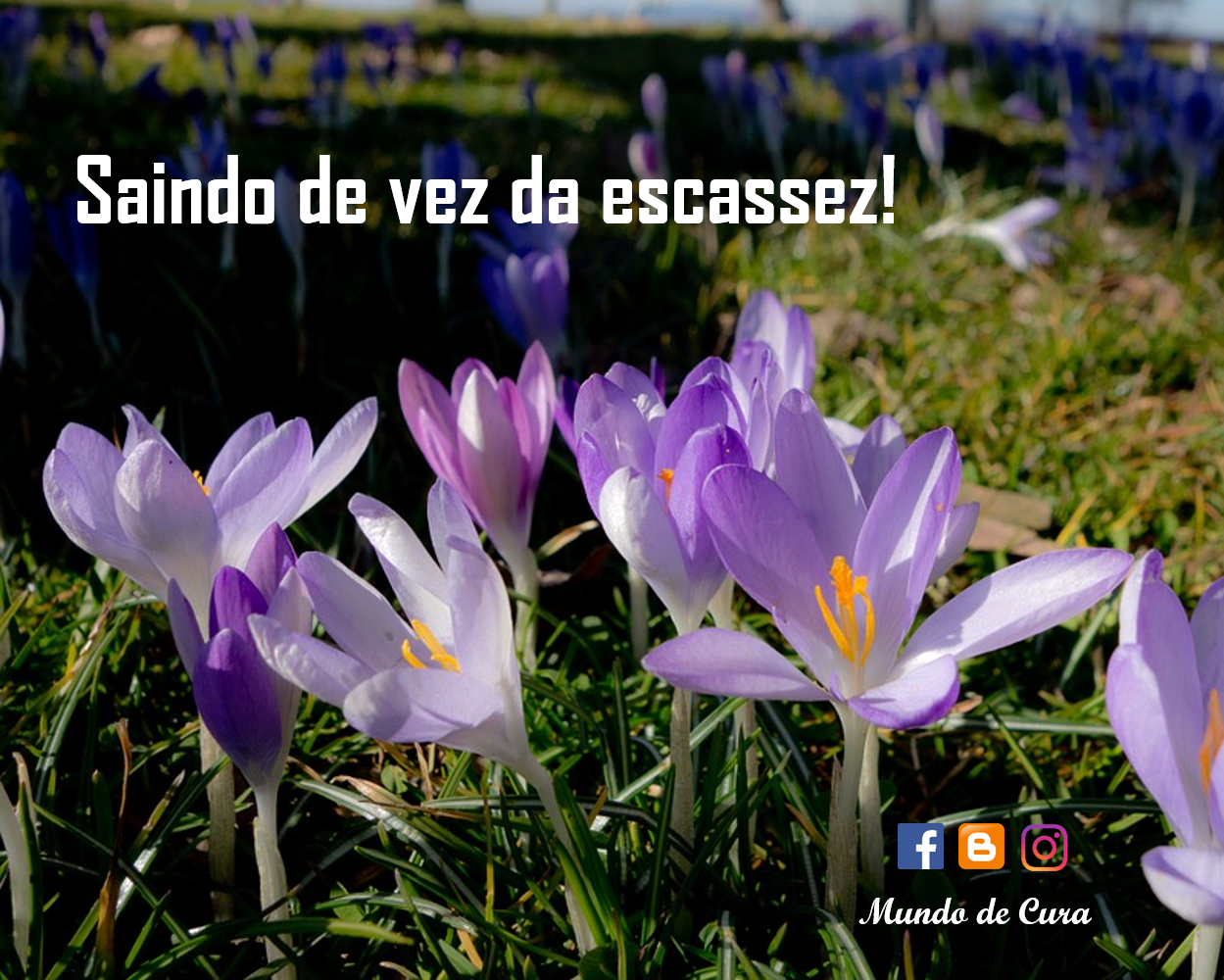 Mundo de Cura: SAINDO DE VEZ DA ESCASSEZ!