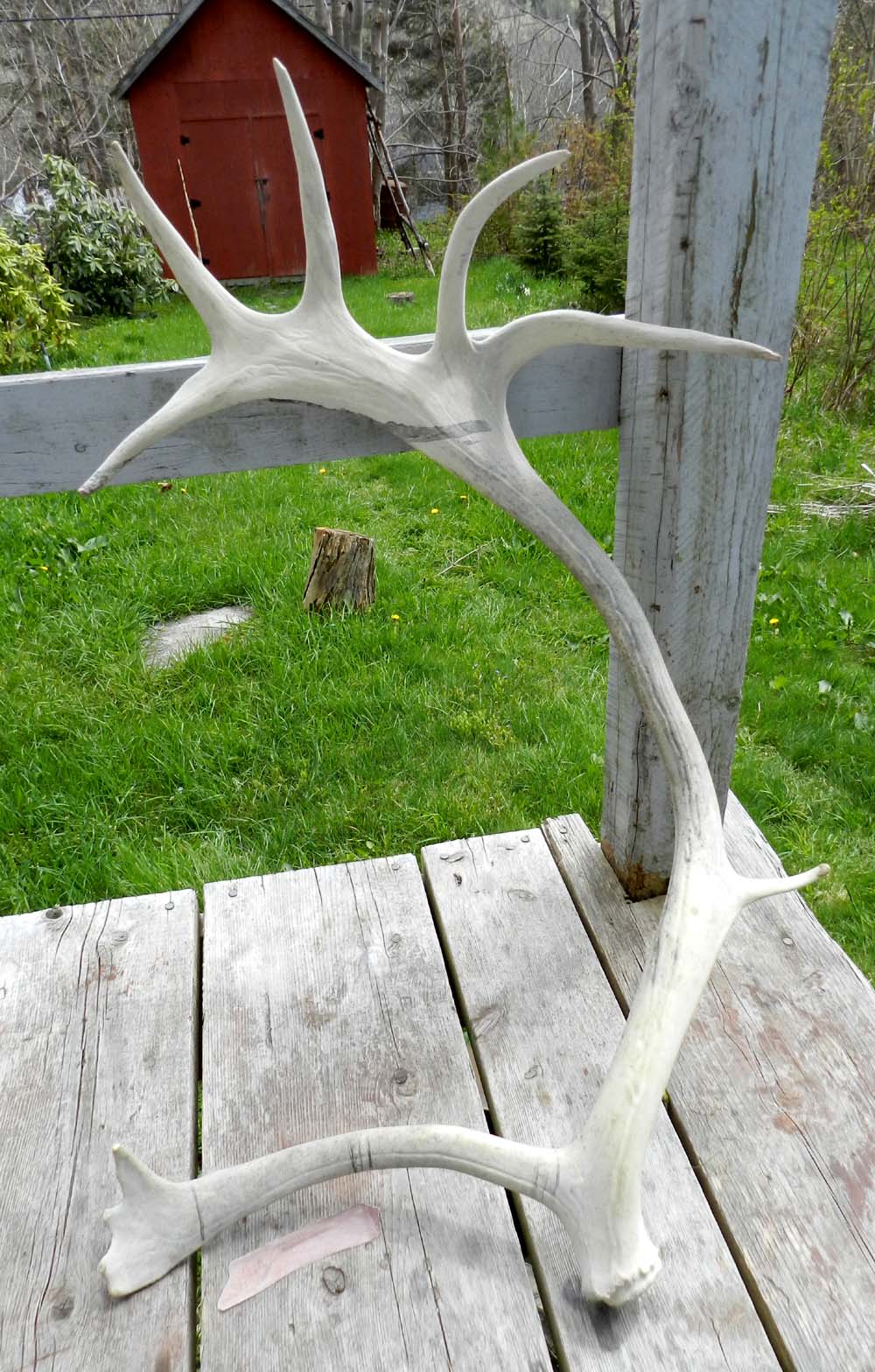 Elfshot: Working Antler Today