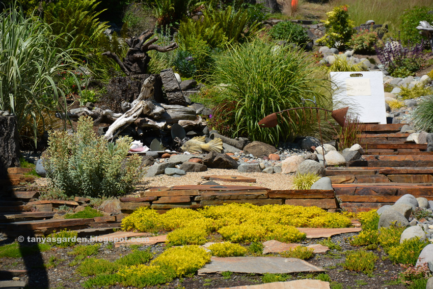 Pacific Northwest Rock Gardens - Garden Design Ideas
