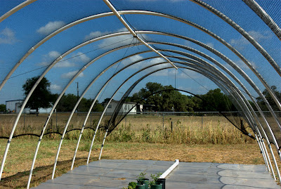 Redwing Farm: Shade House Construction