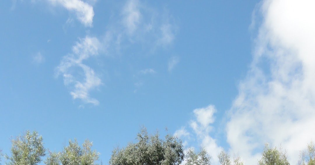 Kilkenny Graveyards: Hugginstown Graveyard (New or Calvary), Parish of ...
