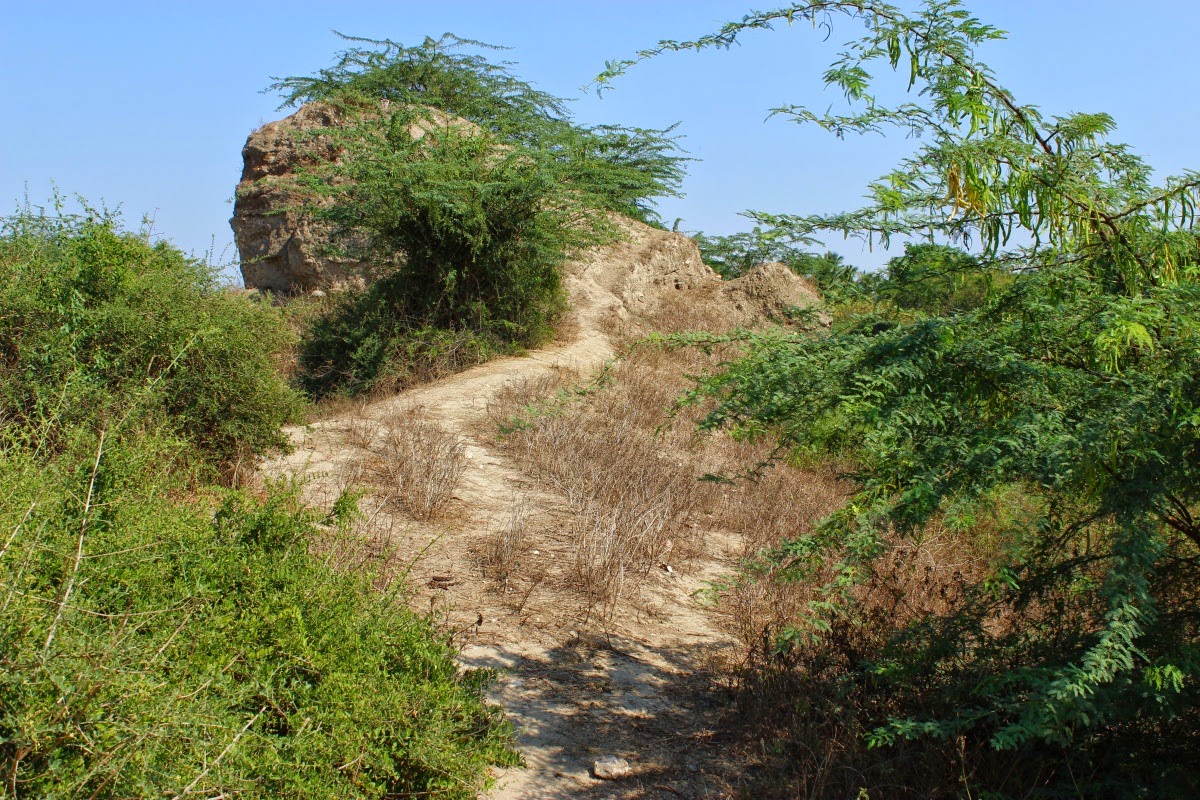 Journeys across Karnataka: Prehistoric Ash-mound of Hallur