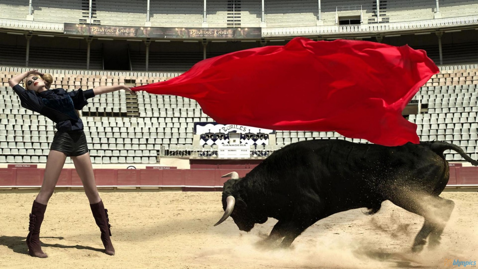 Bull Fighting hd wallpapers | Movies Songs Lyrics