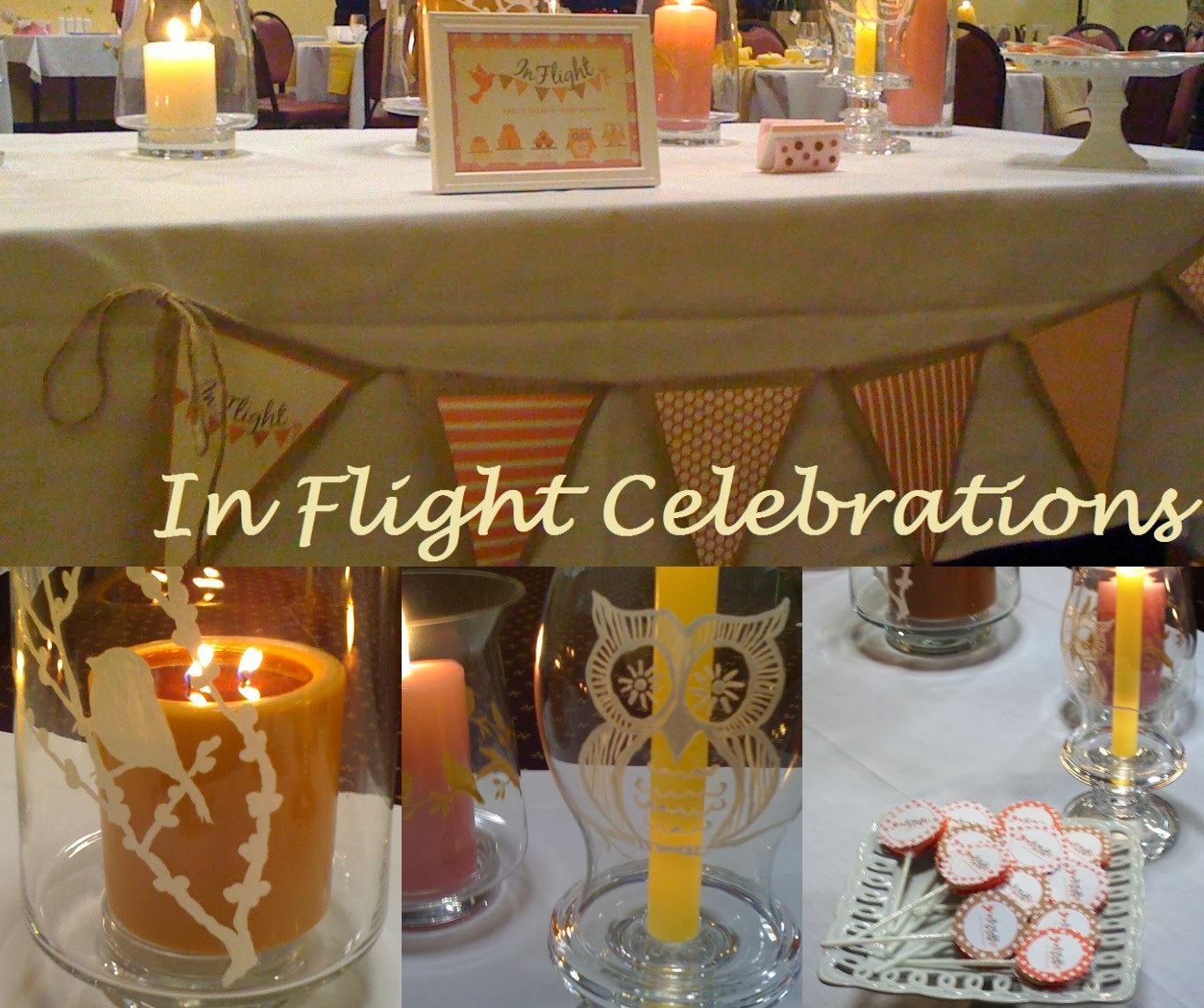 In Flight Party Ideas: Owls and Birds Party