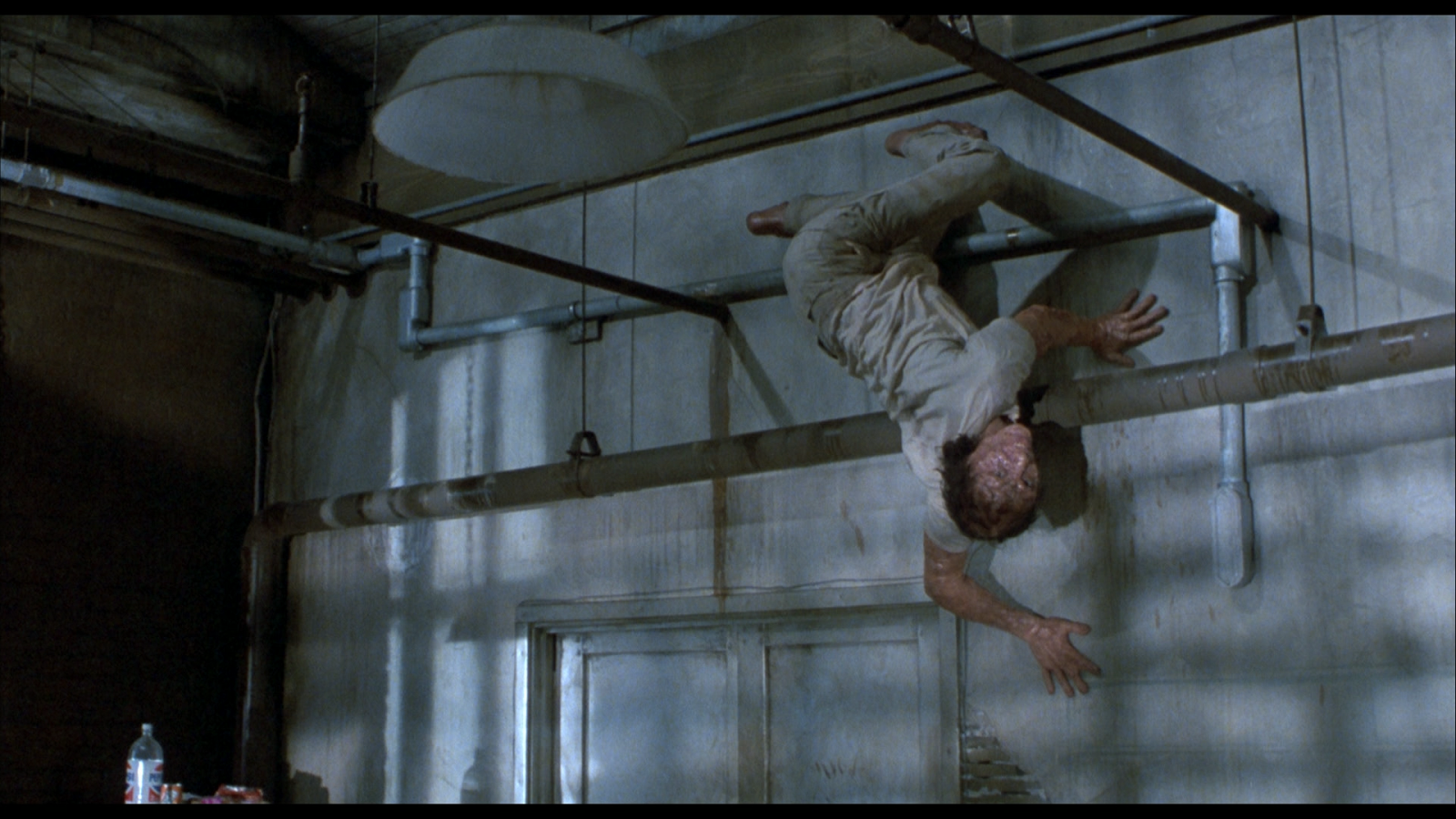 Happyotter: THE FLY (1986)