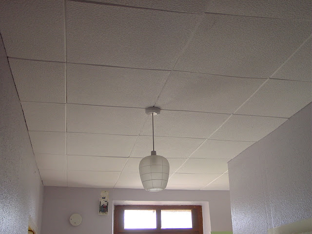 Pebbles in the Sea: The French ceiling