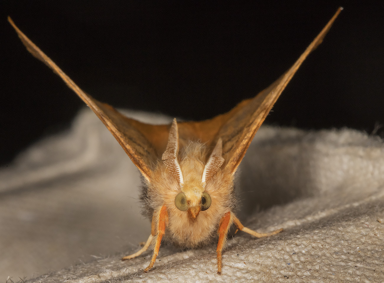 Naturally: August 2016