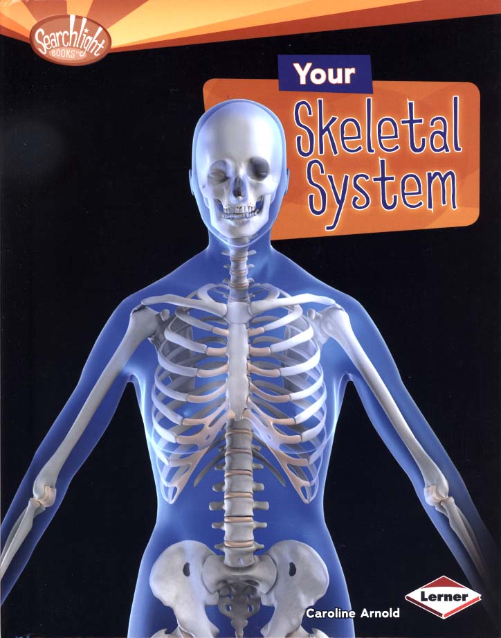 Caroline Arnold Art and Books: New Book! YOUR SKELETAL SYSTEM, Revised ...
