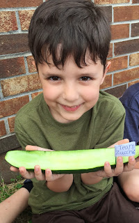 FIRST GRADE MON-STARS: 1st Grade Smarty Pants Camp