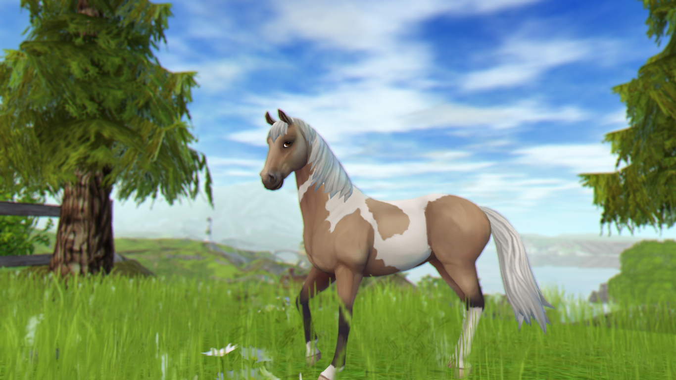 Holly's SSO life: Minusta