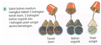 Hijau Bumi Tuhan: 3.0 Penanaman Pokok Tanaman Hiasan