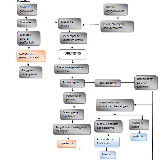 Pathway ISK : Uretritis Singkat - Materi Siswa