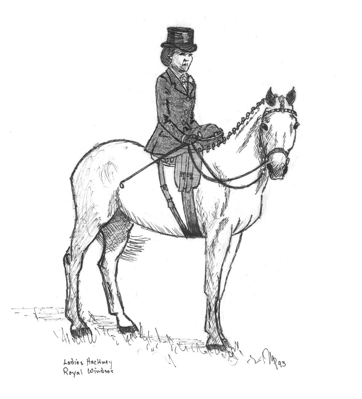 Writing and Riding: Sketches